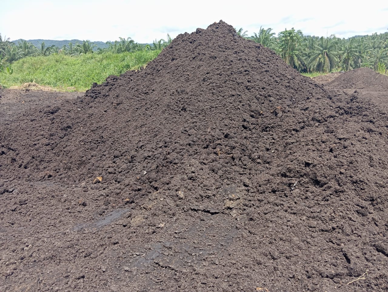 About - Keningau Palm Oil Mill